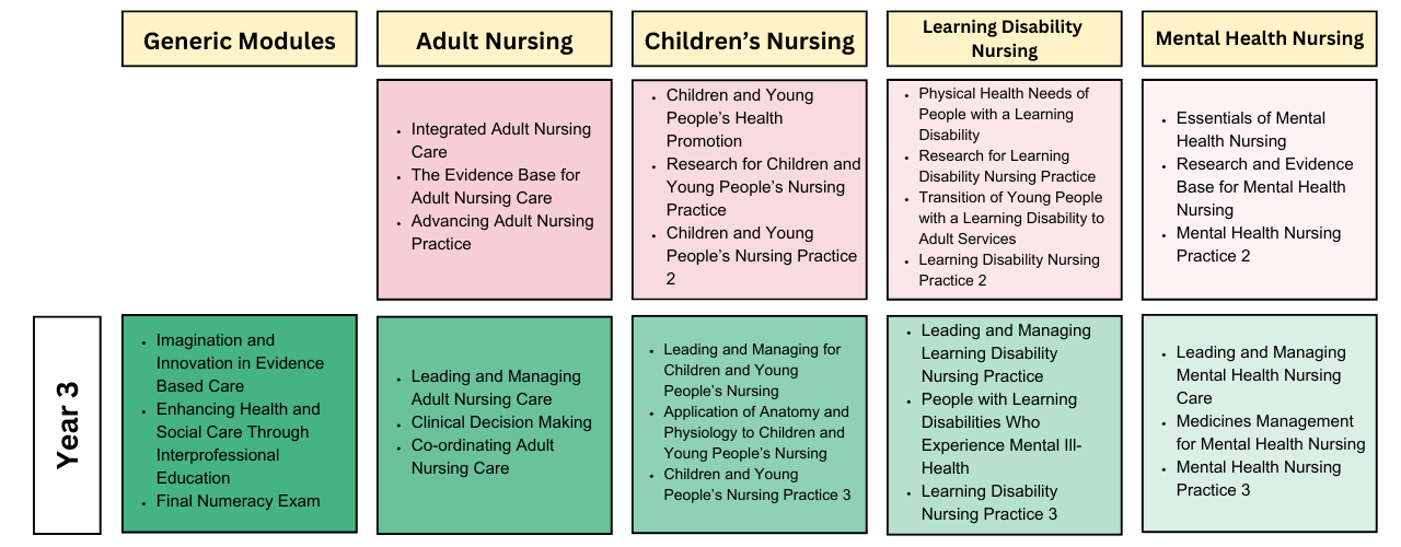 Registered Nurse – BSc (Hons) Nursing (Top-Up) – Higher and Degree ...